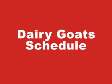 Schedule – SheppShow